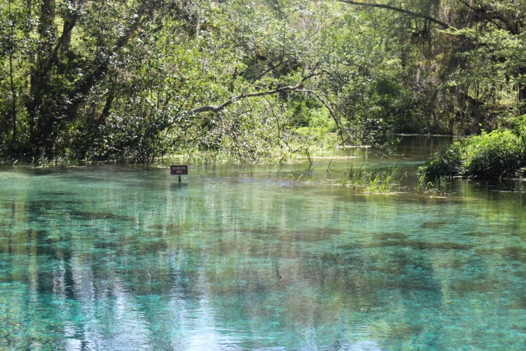 16 Must-See Natural Wonders in Florida - The Simple Bliss