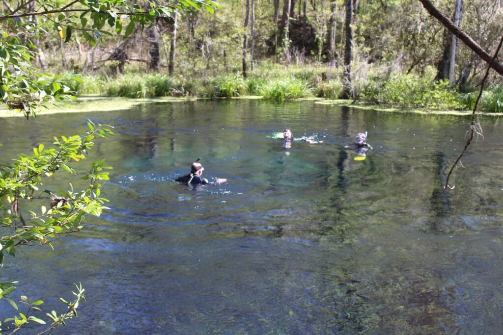 16 Must-See Natural Wonders in Florida - The Simple Bliss