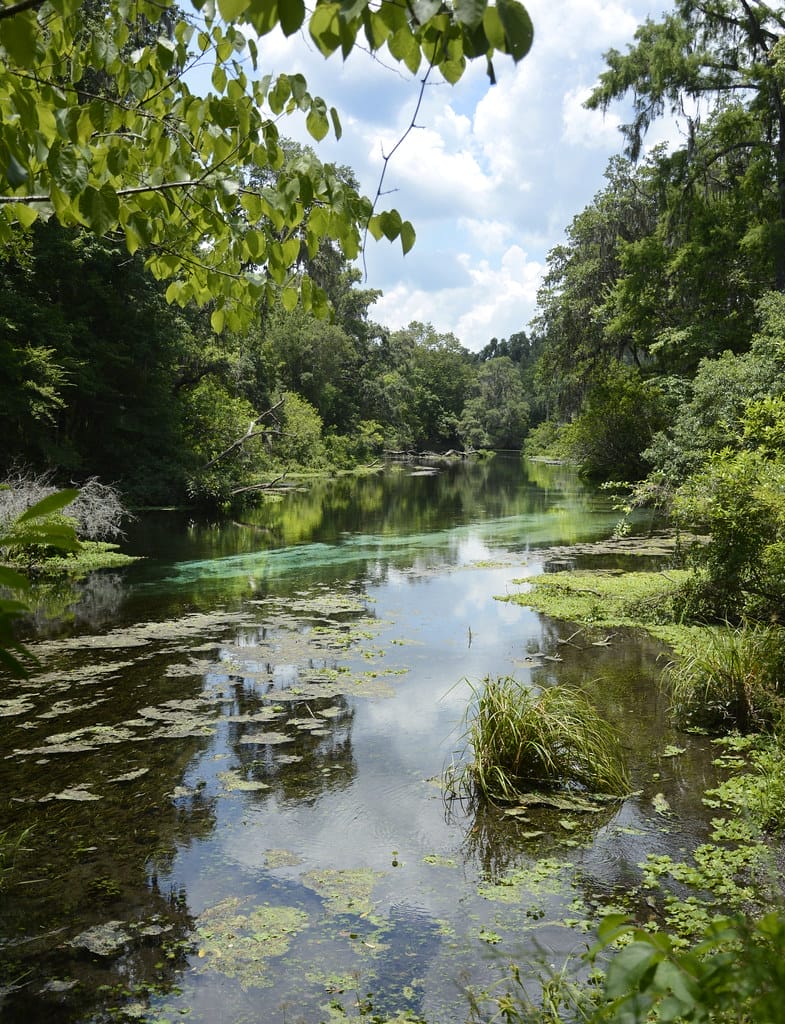 16 Must-See Natural Wonders in Florida - The Simple Bliss