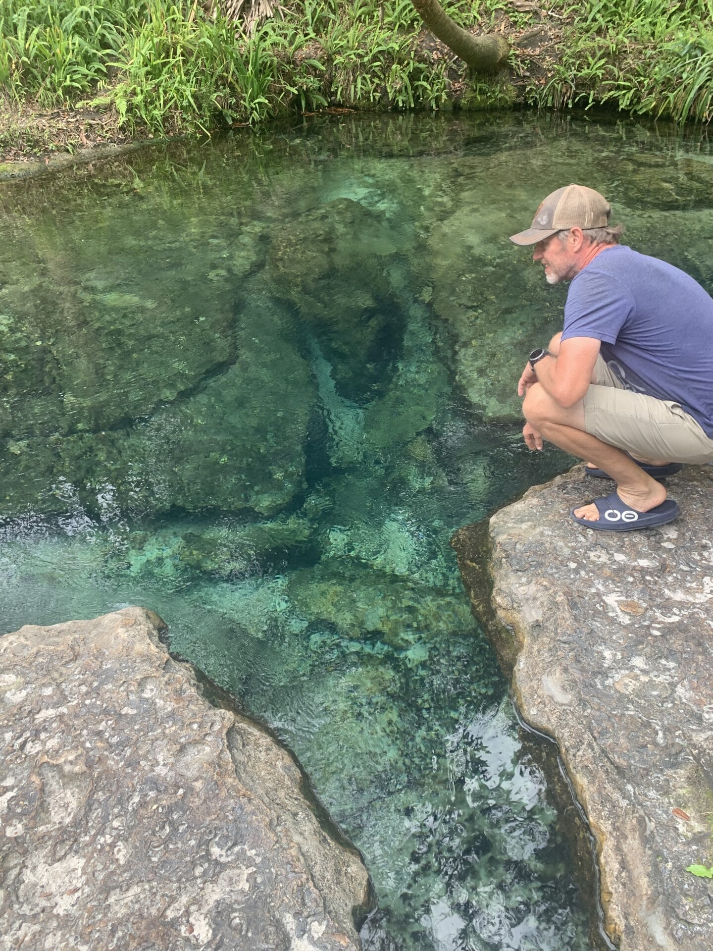 Top 3 Natural Cold Springs in Northern California for Pure Spring Water ...